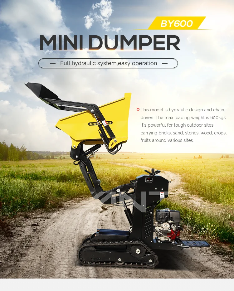 ANT Mini Dumper BY600L Crawler Loader Briggs Stratton Engine Fully ...