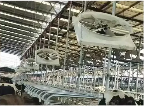 Modern Scaled Dairy Farm Big Size New Type Cyclone Farm Fan
