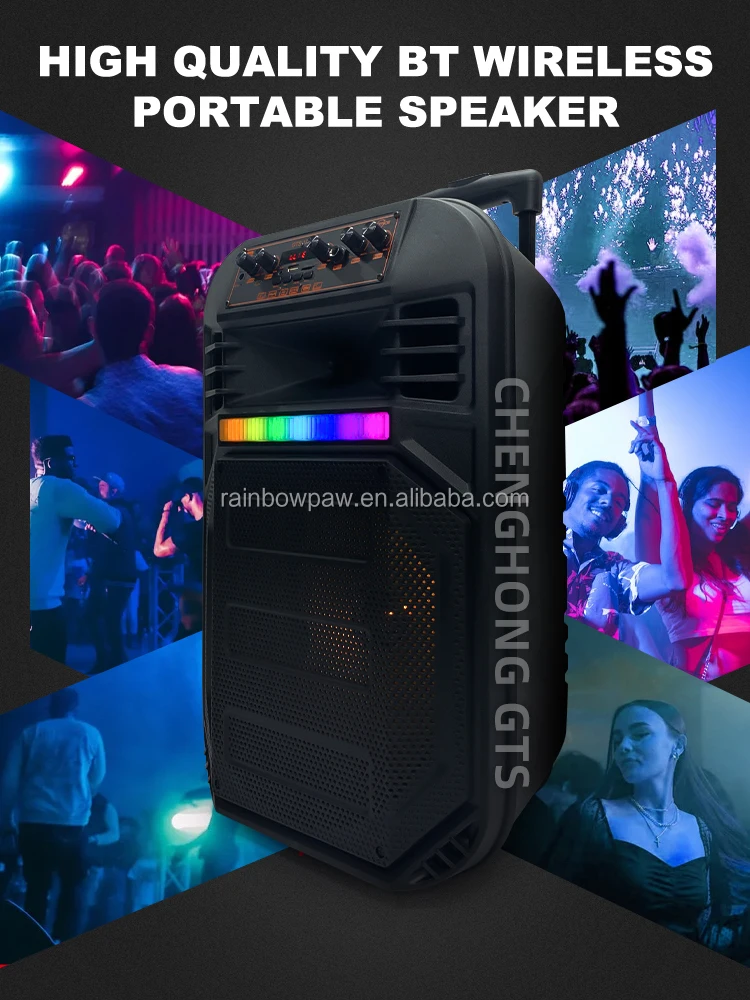 GTS-1960 Wireless Portable Speaker - 12 Inch Party Bt Speaker