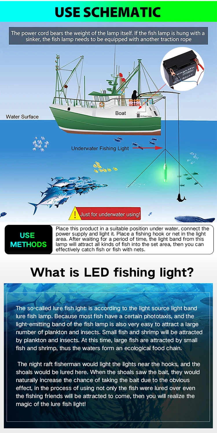 Decoy Catcher Led Fish Trap Trapper High Lumen Attract Fish 12v Led ...