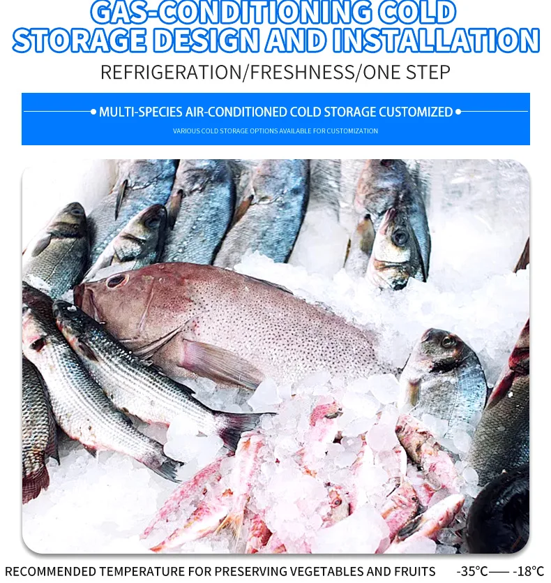 Refrigerated Container Blast Freezer Machine Freezer Room Set Cooler ...