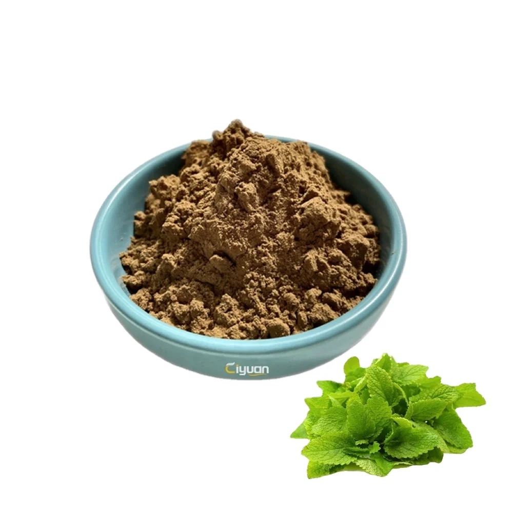 OEM packing Melissa Officinalis Leaf Extract high quality Lemon Balm ...