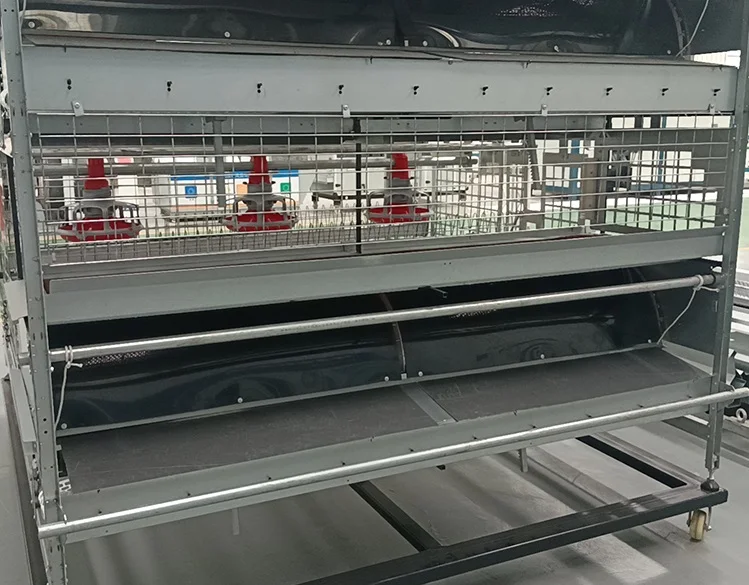 Customized Broiler Cage Completer Feeding System Chicken Layer Cages ...