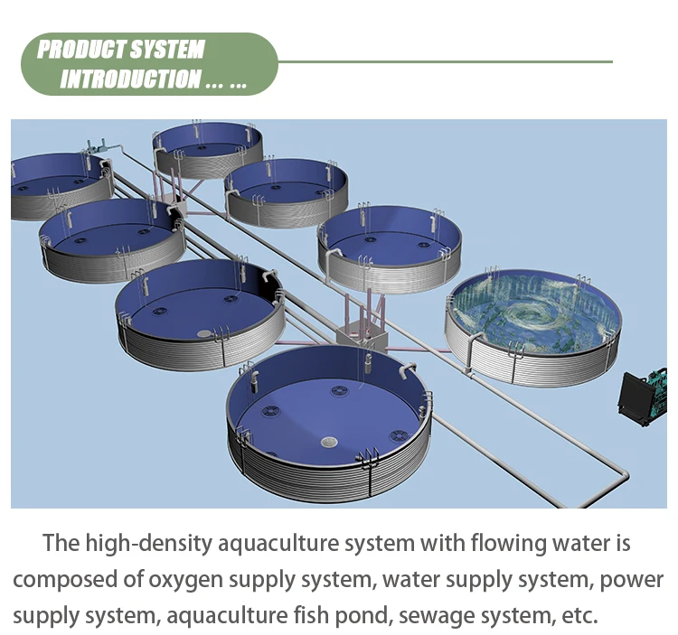 High-density Industrial Fish Farm Recirculating Aquaculture System Fish ...