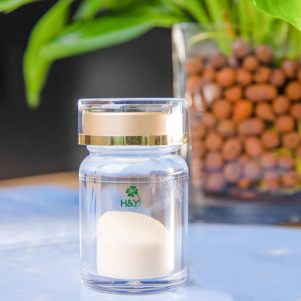 ISO Certified High Quality Akkermansia Muciniphila Probiotic Powder ...