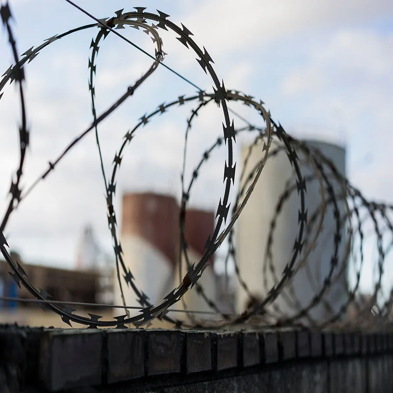 Galvanized Steel Snake Belly Razor Barbed Wire Net with Thorns ...