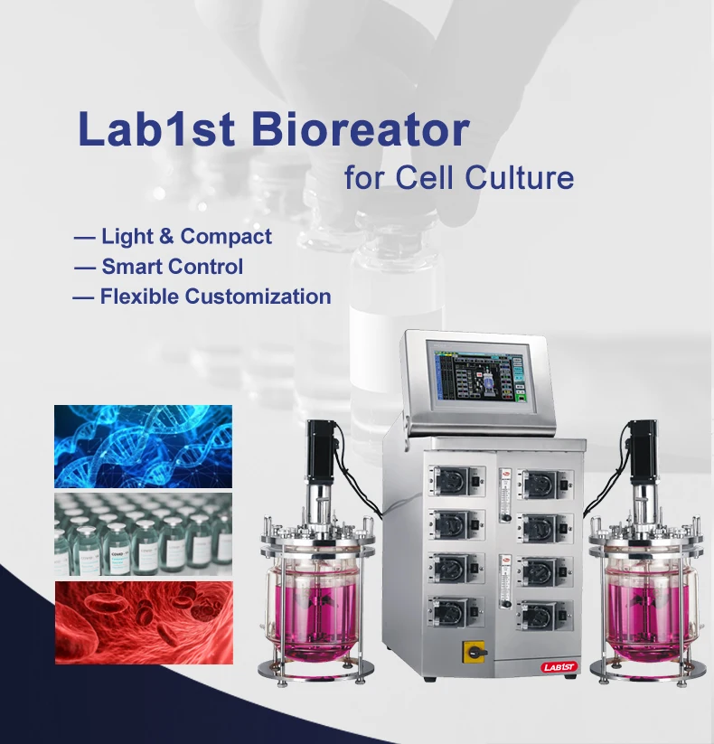 Oem Benchtop Bioreactor 5l Mycellium Cells Plant Sten Cell Culture 1l 2l 3l 7l 10l Laboratory ...