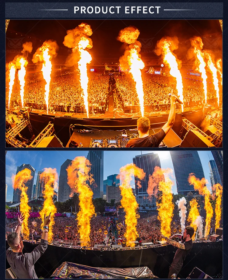 Stage Effect Flamethrower DMX Spray Fire Flame Machine
