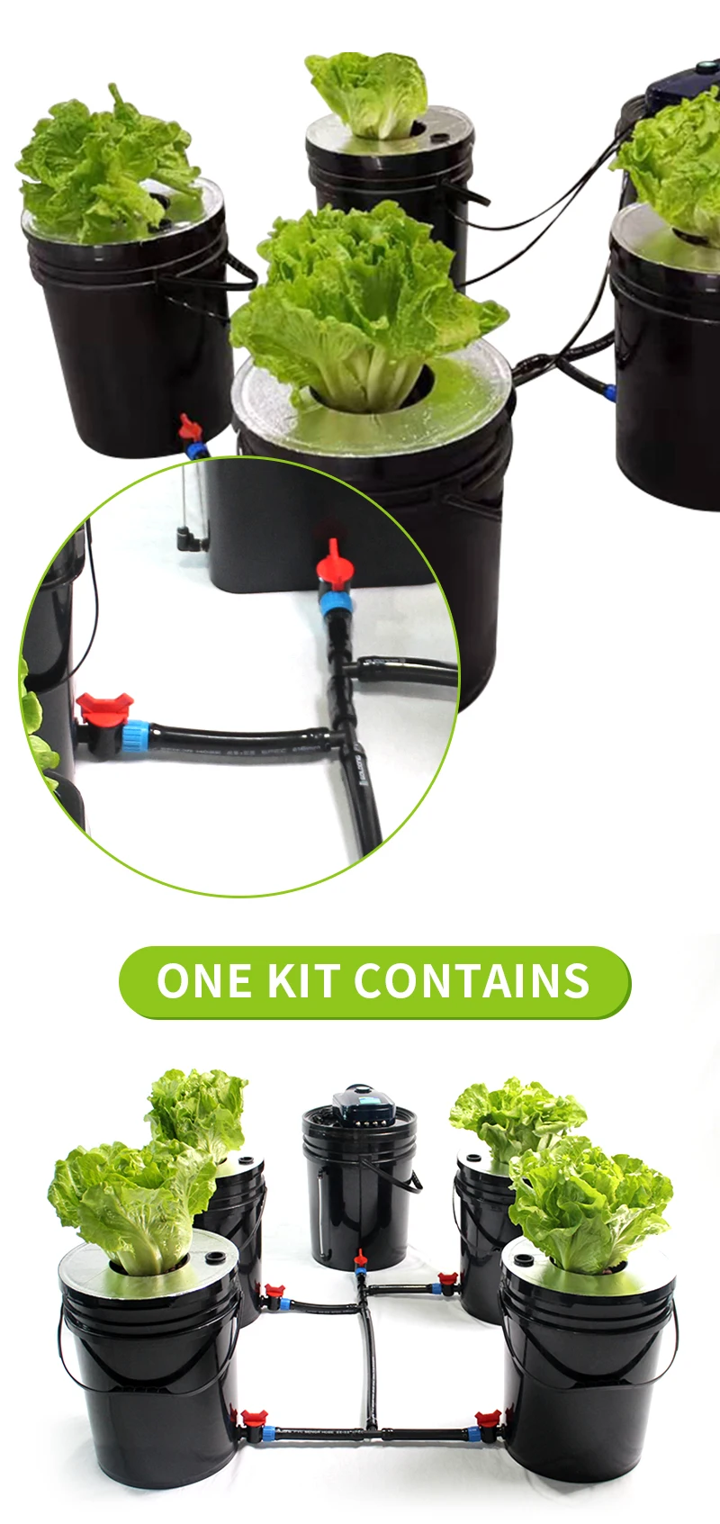 Dwc Hydroponics Growing Systems Home Hydroponic System Planter 5 Gallon ...