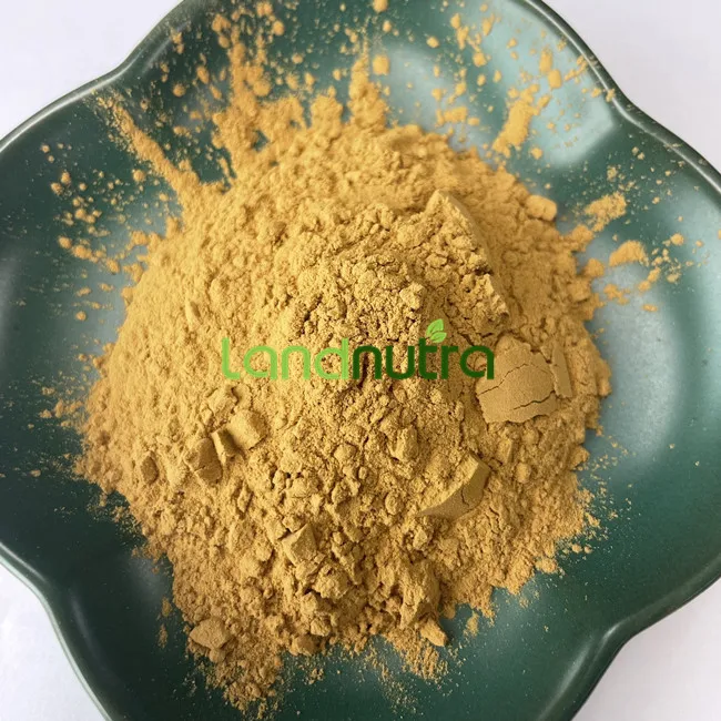 Pure Natural Brown Algae Extract - Health Food Supplement