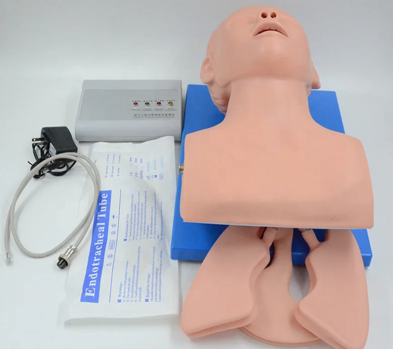 PVC Human Tracheal Intubation Model for Medical Science Training for ... PVC Human Tracheal Intubation Model for Medical Science Training for ...