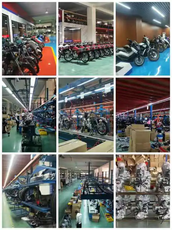 2020 Dongma Retro Monster Electric Motorcycle 2000W