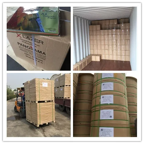 Total 10 Color A4 Size 120gsm 150gsm 160gsm Color Paper/manila Paper ...