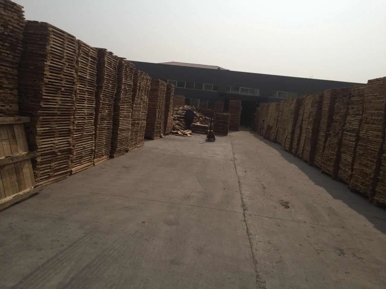 Pine or Fir Wood Langstroth Beehive - Quality & Durability