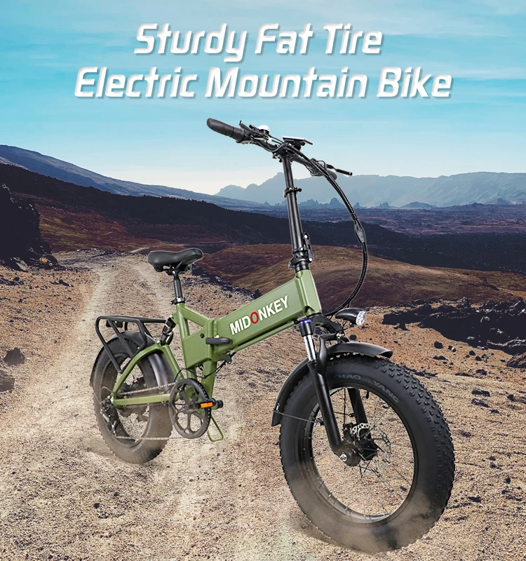 All Terrain Cruise E-bike 1000w Electric Mountain Bike Offroad Fat Tire ...