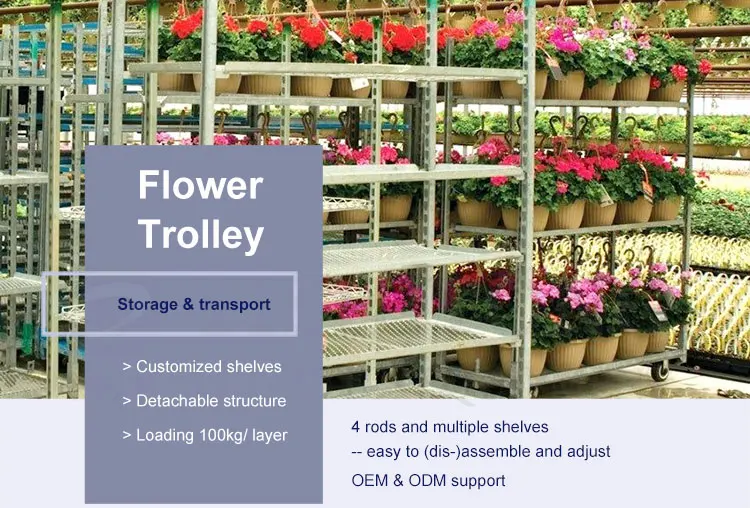 High Quality 4 Layers Movable Metal Greenhouse Garden Carts Nursery ...