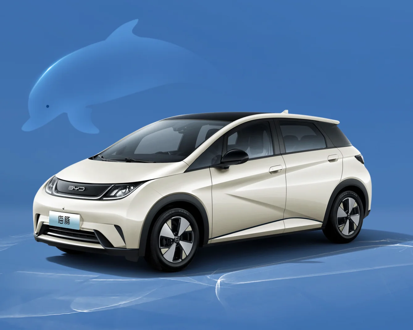 Byd Dolphin_ 2023 Model_ 420km Free Edition - Buy Byd Compact Suv Pure ...