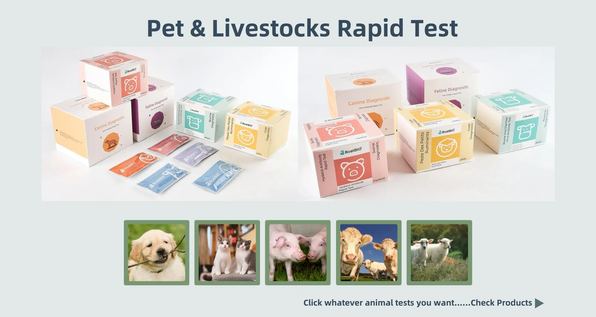 Ce Certified Accurate Dog Disease Test Pet Health Canine Rotavirus Ag ...