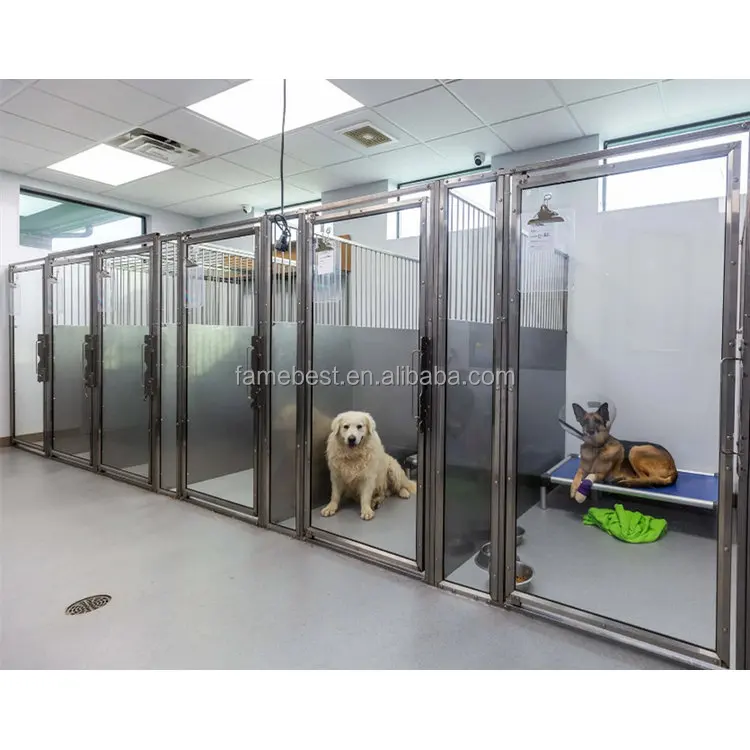 Stainless Steel Dog Kennels - Durable & Versatile Solutions