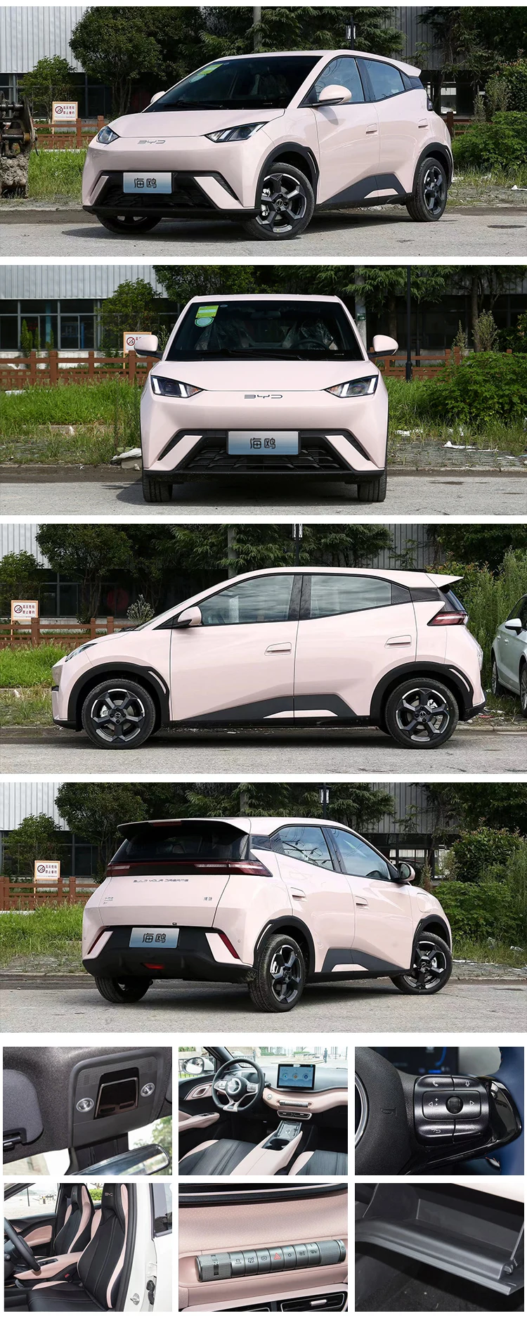 Pink Electric Vehicle Byd Haiou Seagull Flying Version 405km Electric ...