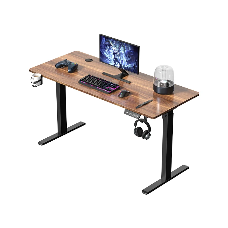 New RGB PC Computer Table Ergonomic Gaming Desk Dual Motor Stand Desk ...