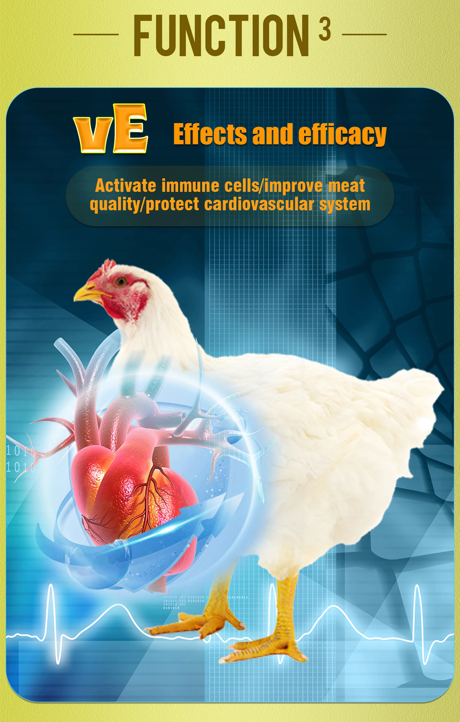 Broiler Growth Booster Multivitamin Oral Solution for Broiler Layer ...