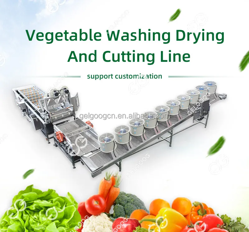 Efficient Vegetable Processing Line - Cleaning & Shredding
