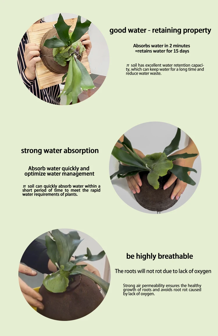 Staghorn Fern Mounting Tool with Included Sphere Mold Peat Cotton Block ...