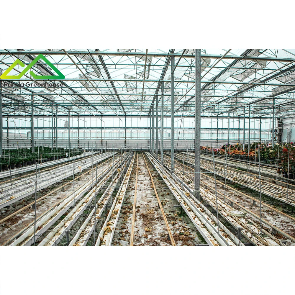 Triangle Slant Polygon Arc Flat Roof Green House Metal Frame Outdoor ...