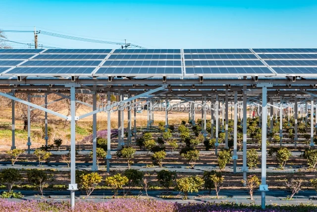 Panel Solar Mount - Efficient Agricultural Greenhouse Setup