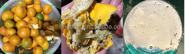 Commercial Grape Fruit Juicer Processing Machinery Grapes Cold Screw ...