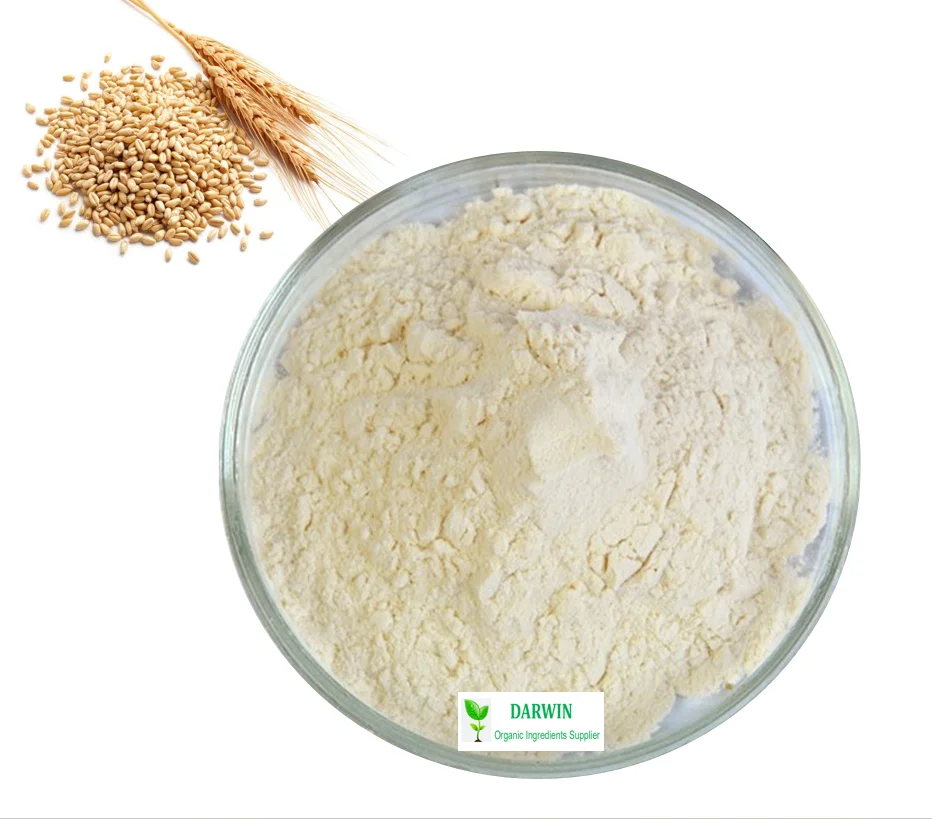 Wheat Germ Extract Powder with Spermidine - Organic Health Food