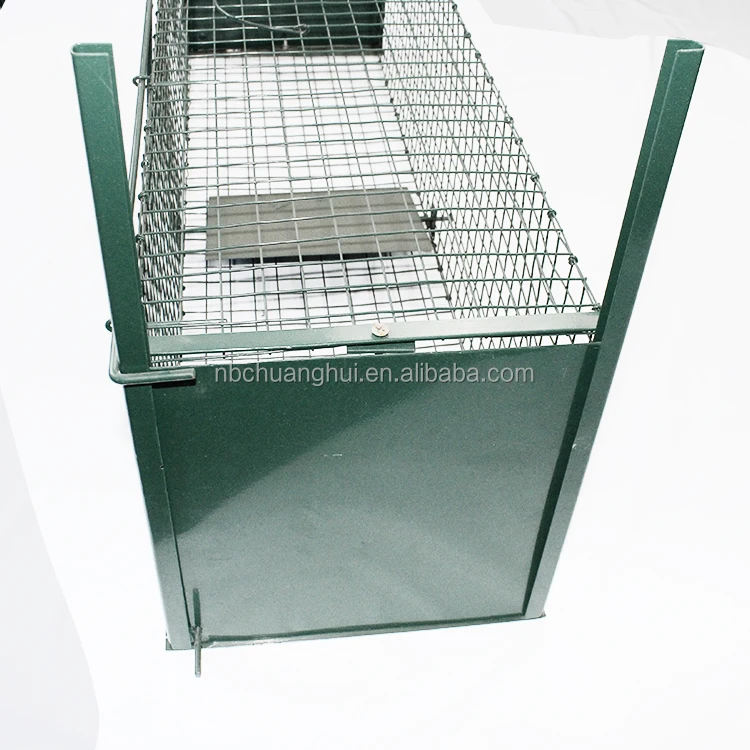 Collapsible Metal Live Animal Dog Cage Trap for Farm Use to Trap ...