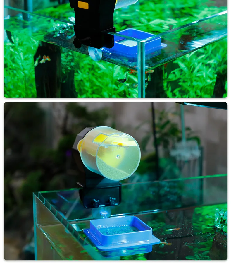 Wholesale Auto Tropical Fish Food Dispenser For Small Tank Automatic ...