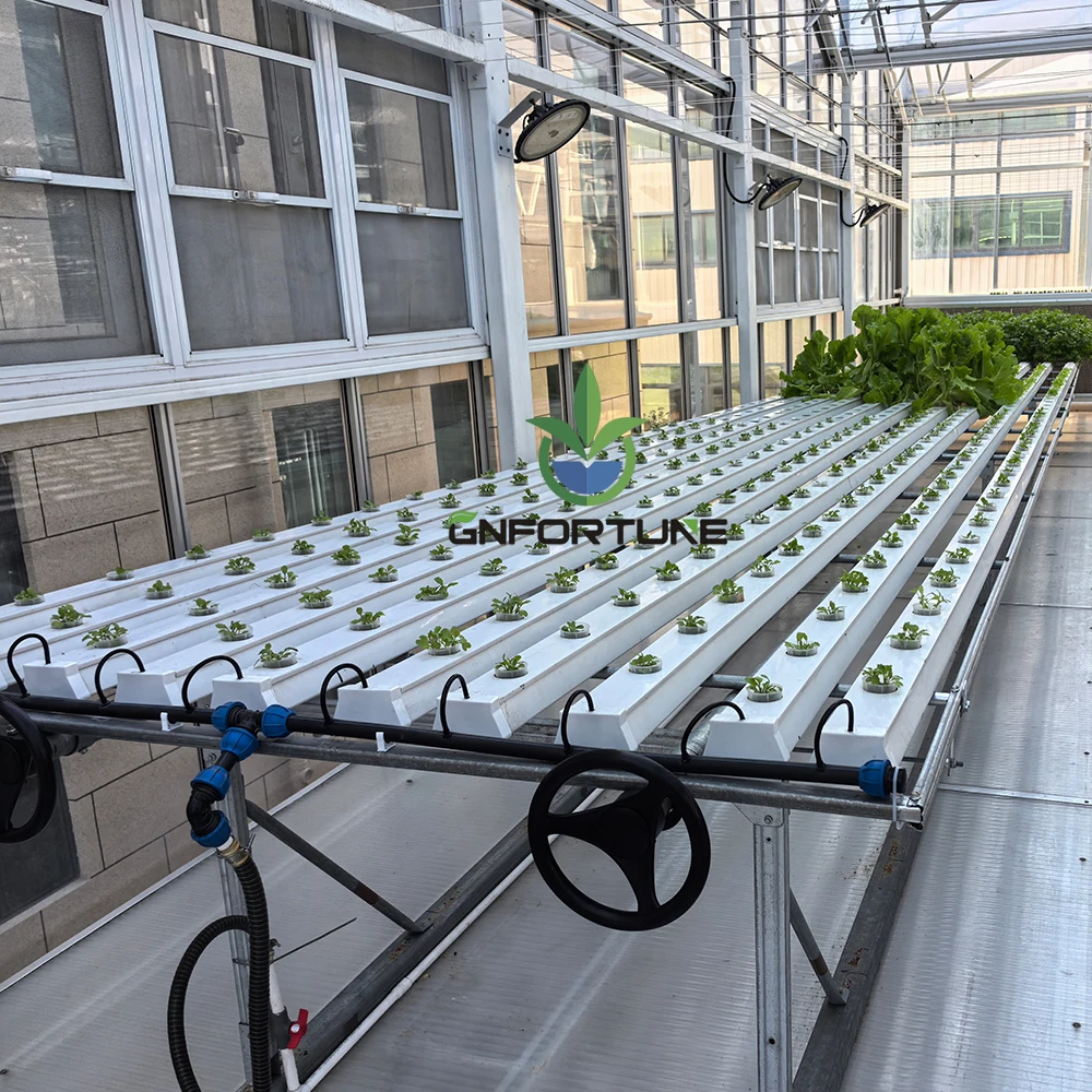 New Design Rolling Movable Hydroponic NFT System for Leafy Vegetable ...
