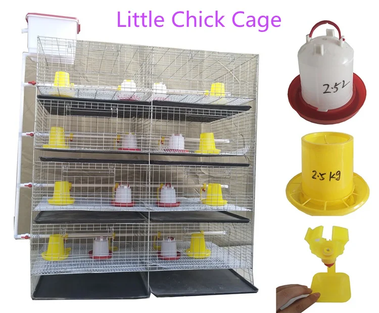 H Type 45 Days Baby Chicken Cage/ Brooder/ Day Old Layer Chick Cages ...