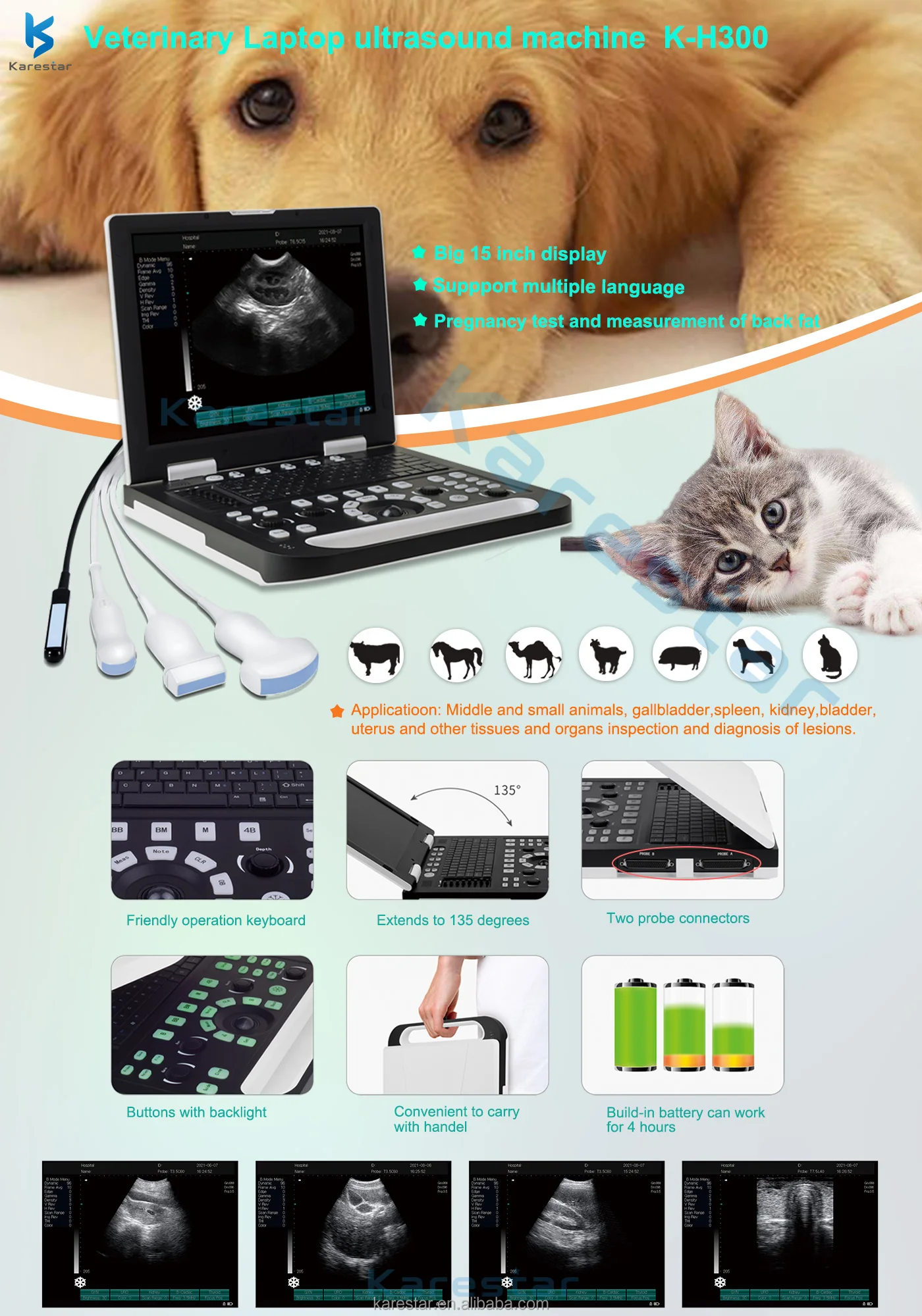 Vet Ultrasound Dp 50 Mindray Veterinary Ultrasound Portable Color ...
