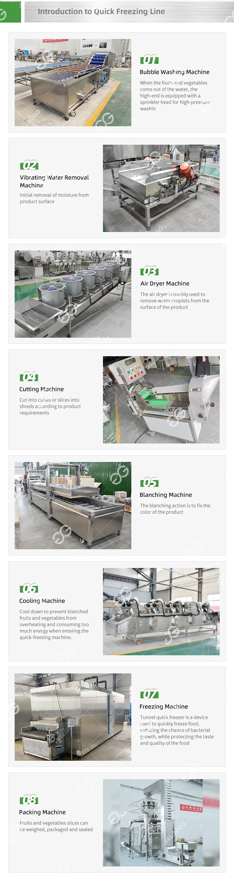 Gelgoog Automatic Frozen 500kg/h Mango Freeze Machine Shock Freezing Blast Freezer For Fruits ...