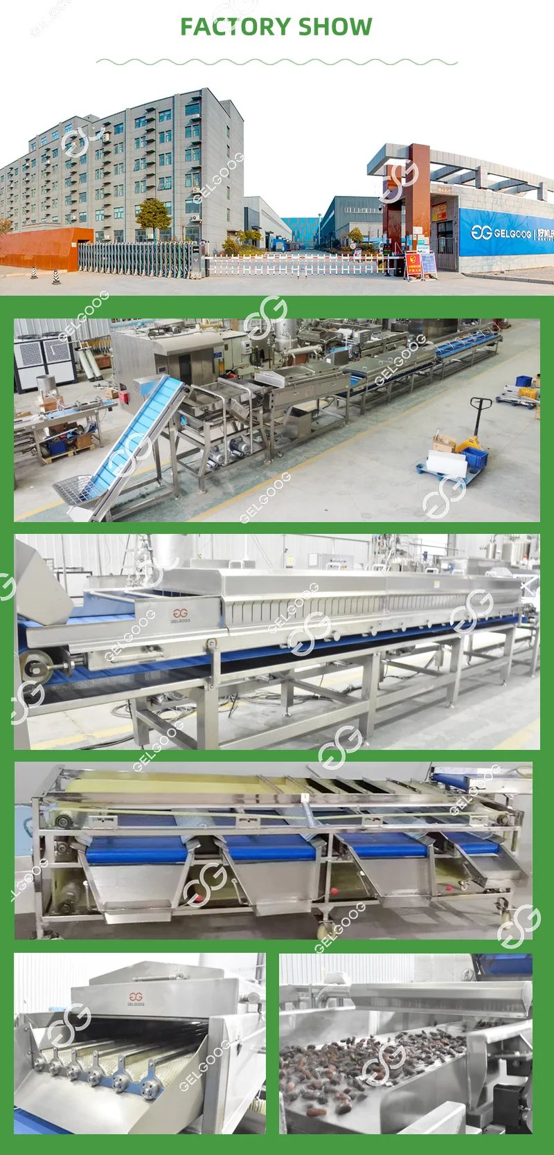 Multi Functional Fruit Processing Equipment Peach Cucumber Medjool Date ...