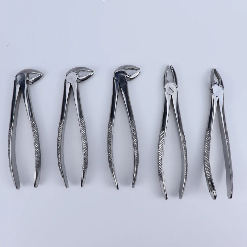E-luck Dental Extracting Forceps - Quality Tooth Extraction