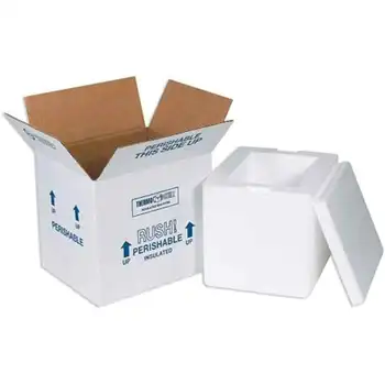 Wholesale Biodegradable Large Foam Cooler Transport Shipping Packing ...