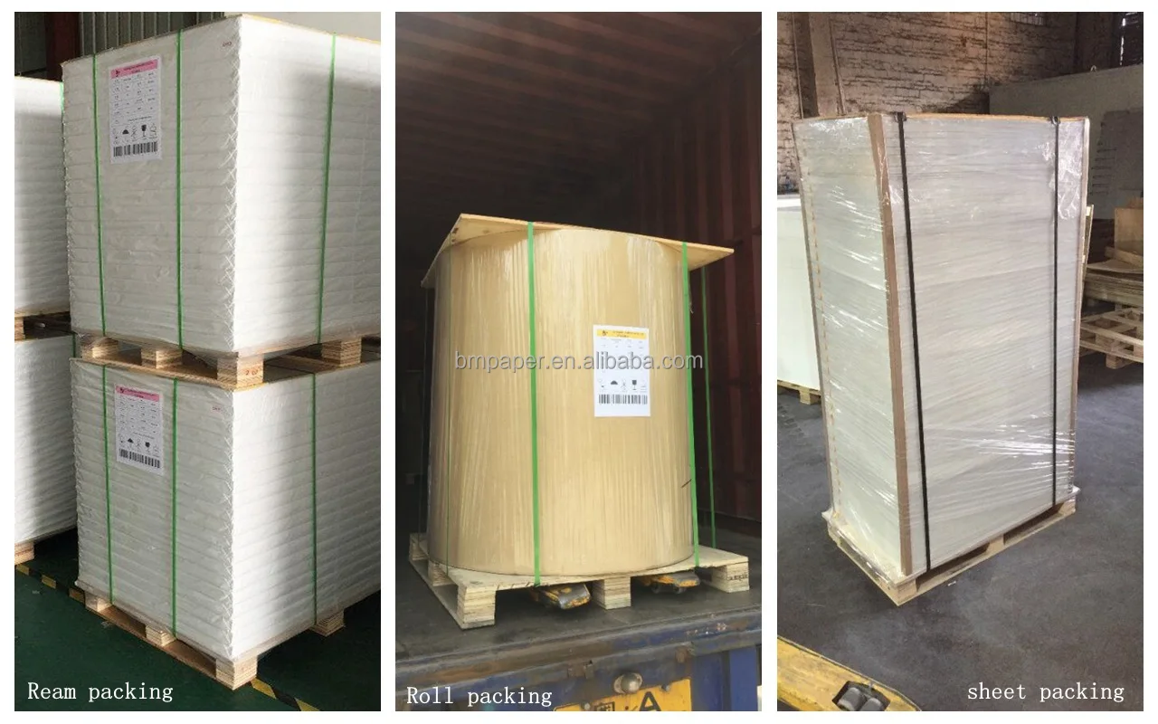 210gsm C1S SBS Paperboard - Recyclable & Versatile Packaging