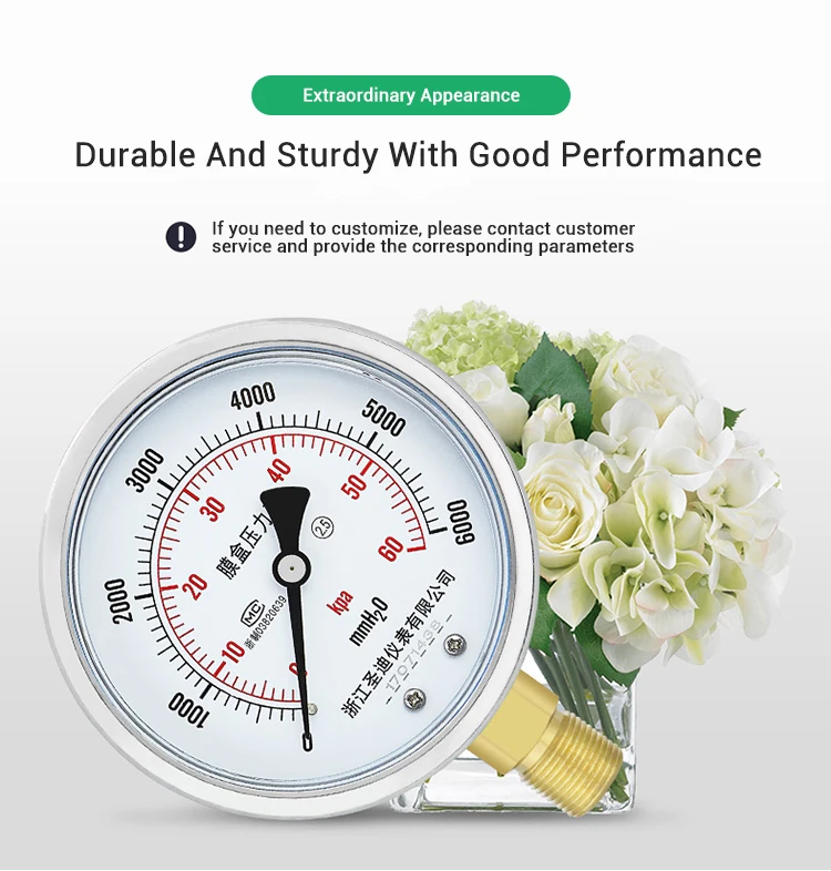 100mm Panel Hydraulic Pressure Force Measuring Gas Fuel Pressure Gauge ...