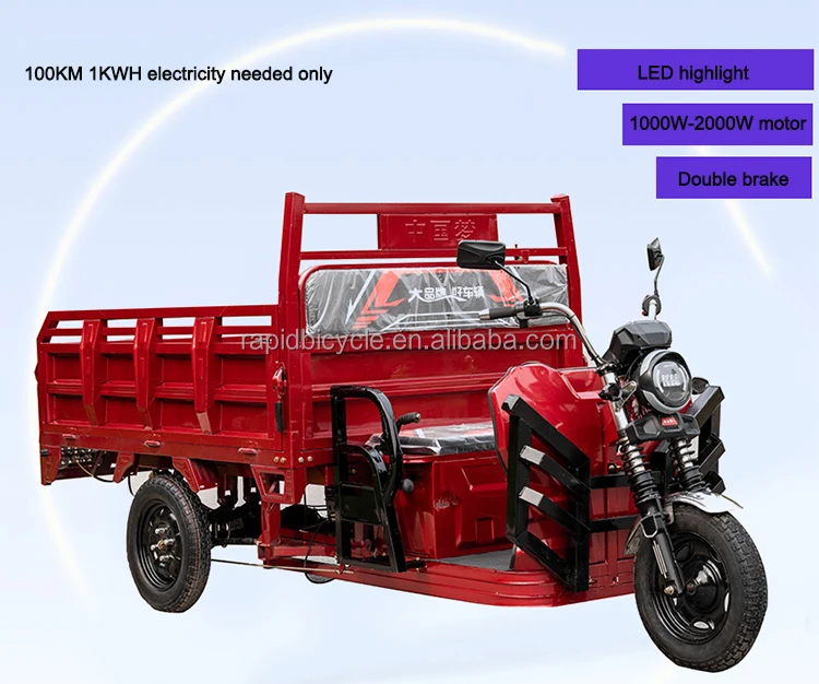 Electric Tricycles 3 Wheel Electric Cargo Bike With Carrier Family E ...