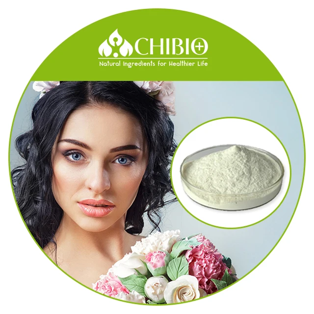 Non Animal Source Fungal Aspergillus Niger Chitosan Price