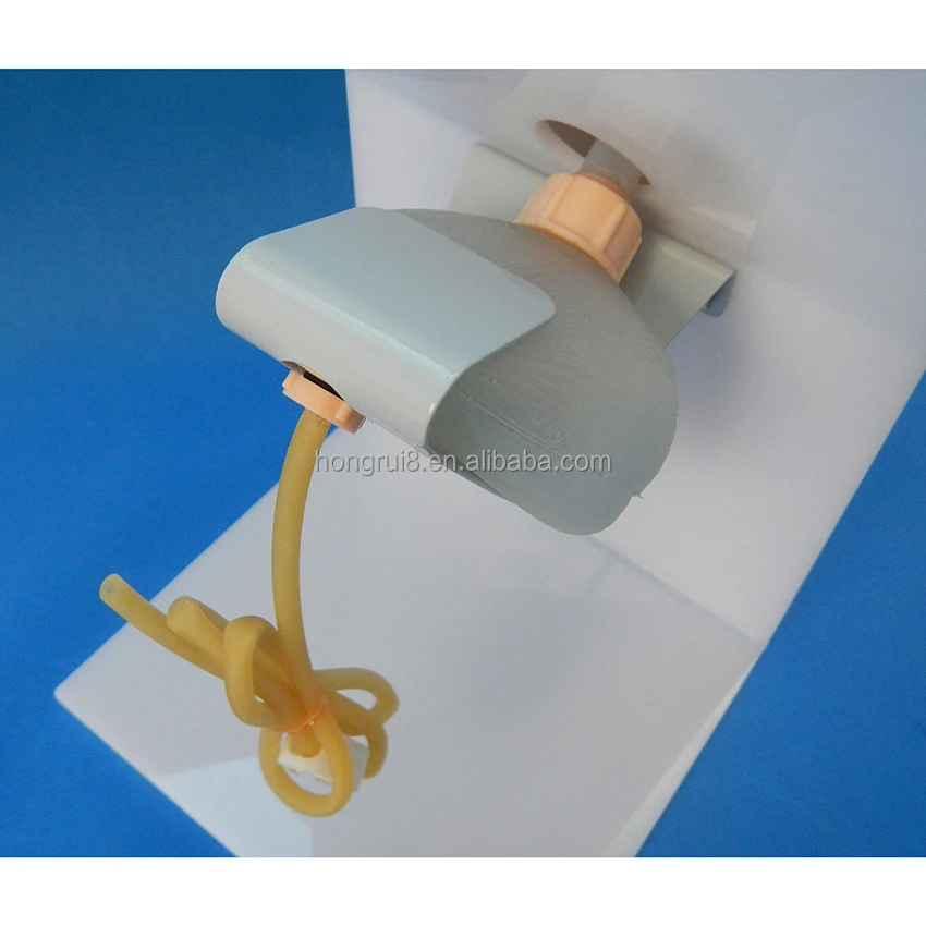 Wearable Male Urethral Catheterization Simulator Male Urethral Model ...