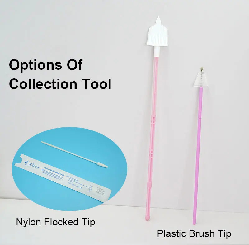 Gynecological Cervical Brush Hpv Test Kit Vaginal Swab Hpv Self Test ...