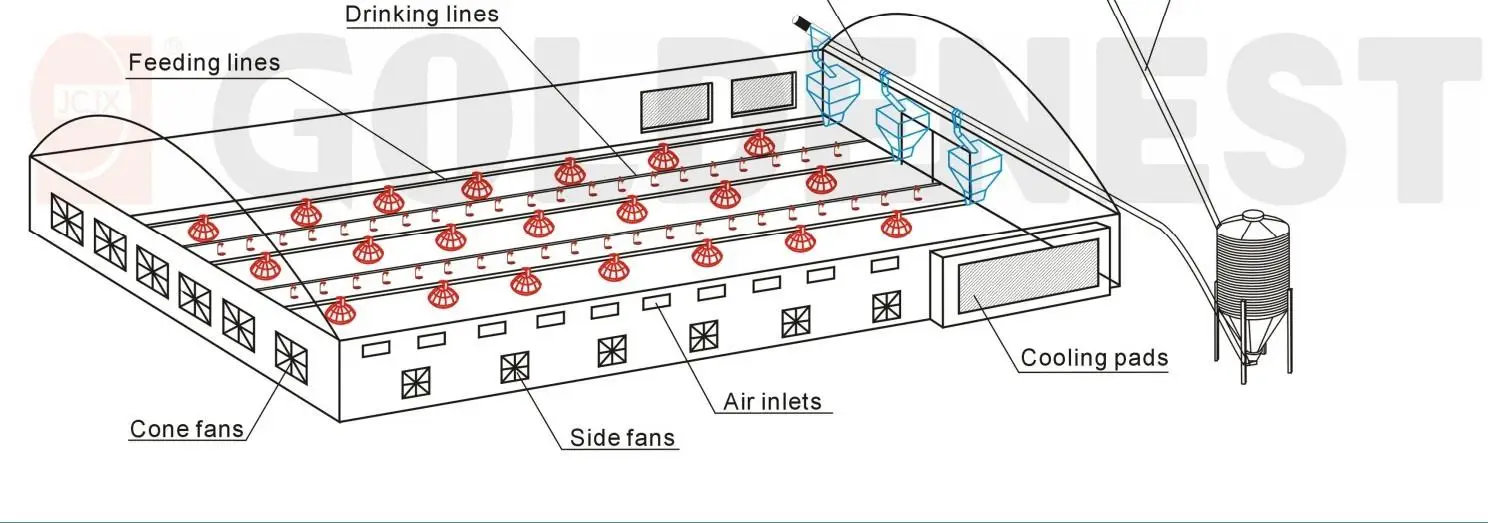 Complete Poultry House Turn Key Project Automatic Feeding Equipment ...