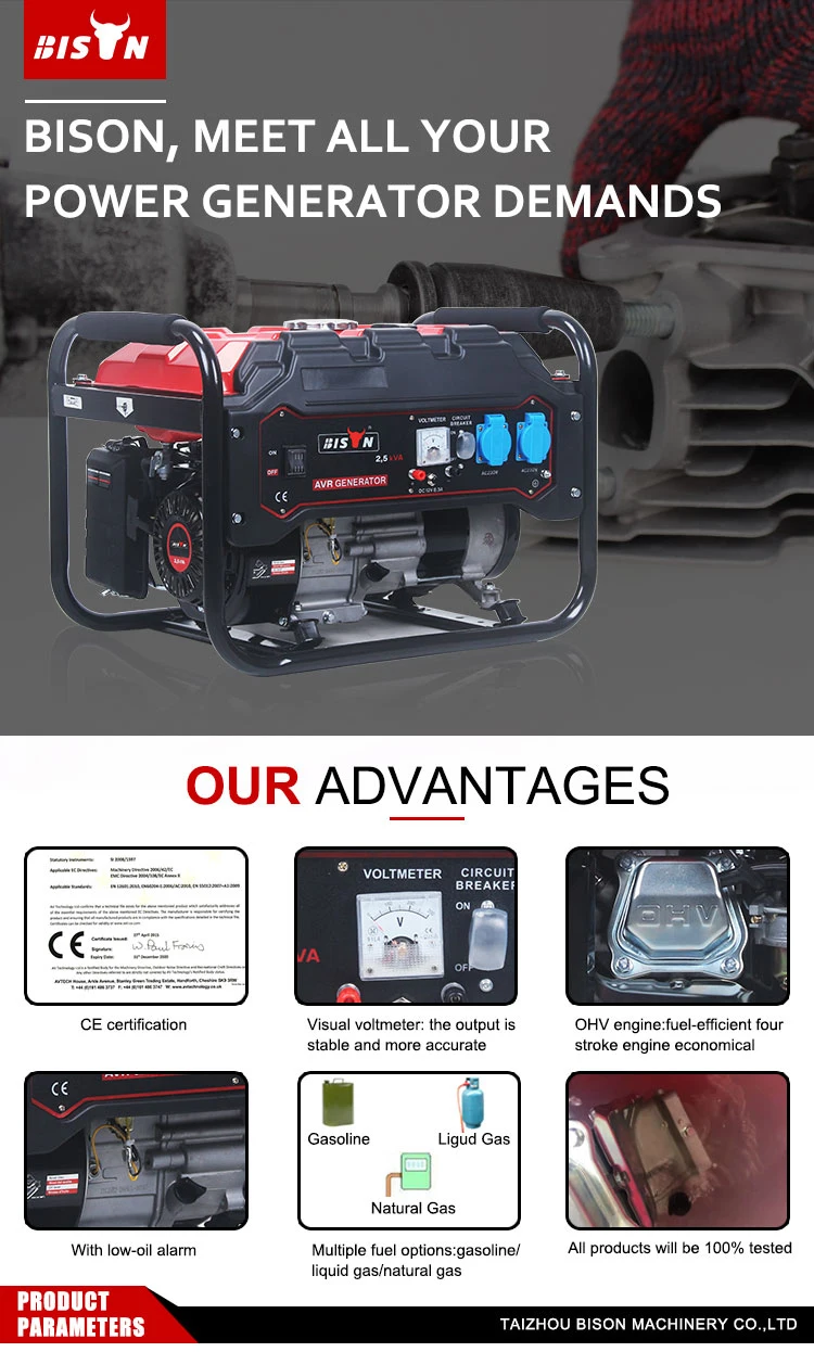 Bison 110v 220v Portable Gasoline Generator Silent 1kw 2.5kw 3.5kw ...