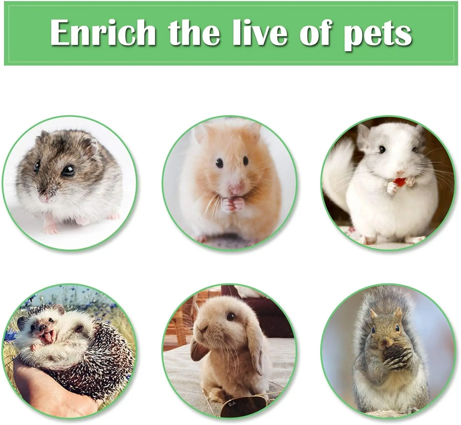 Small Animal Activity Toy Hamster Houses Hideouts Wooden Rat Playground ...